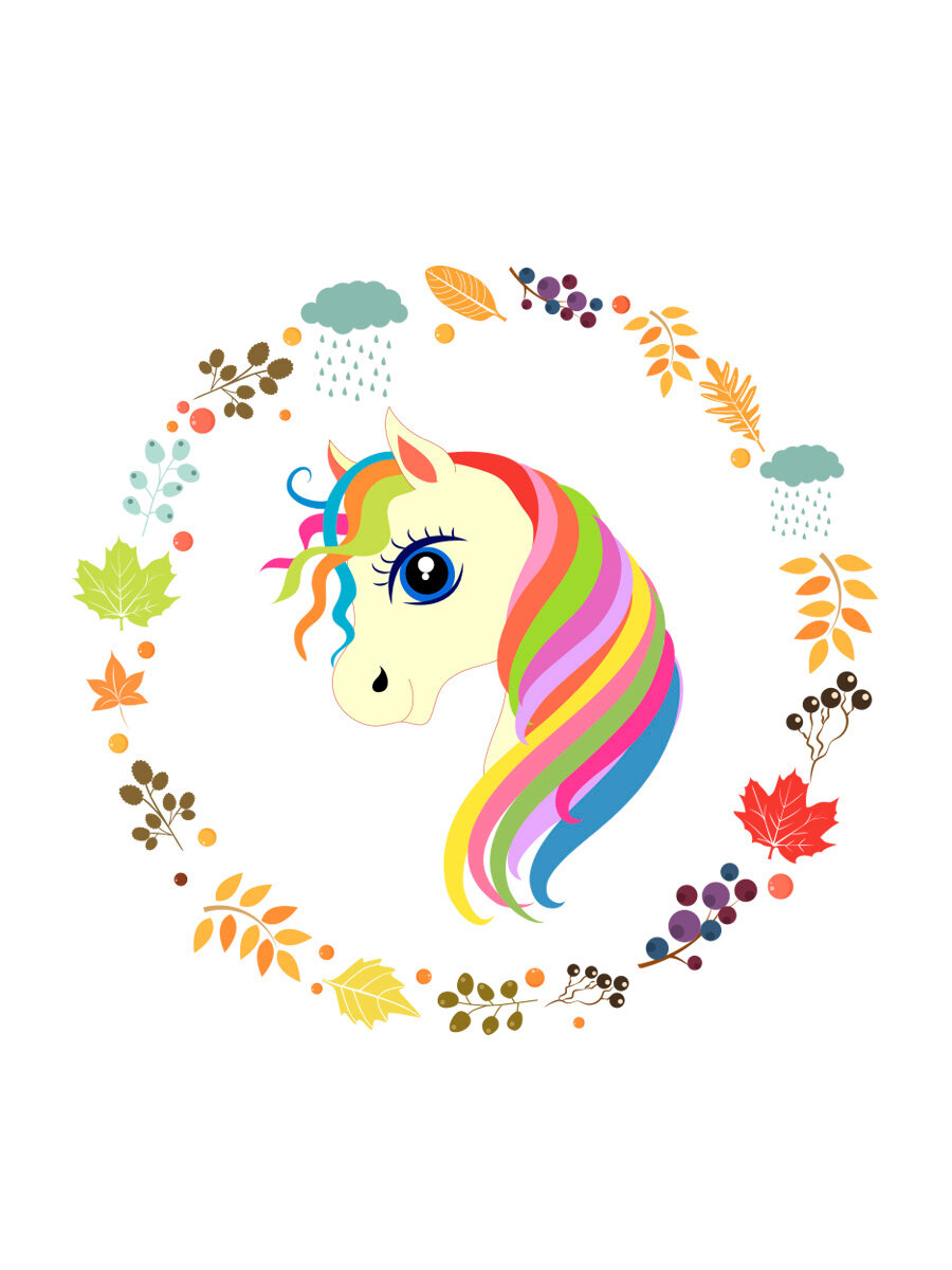 Термонаклейка на одежду "Пони"