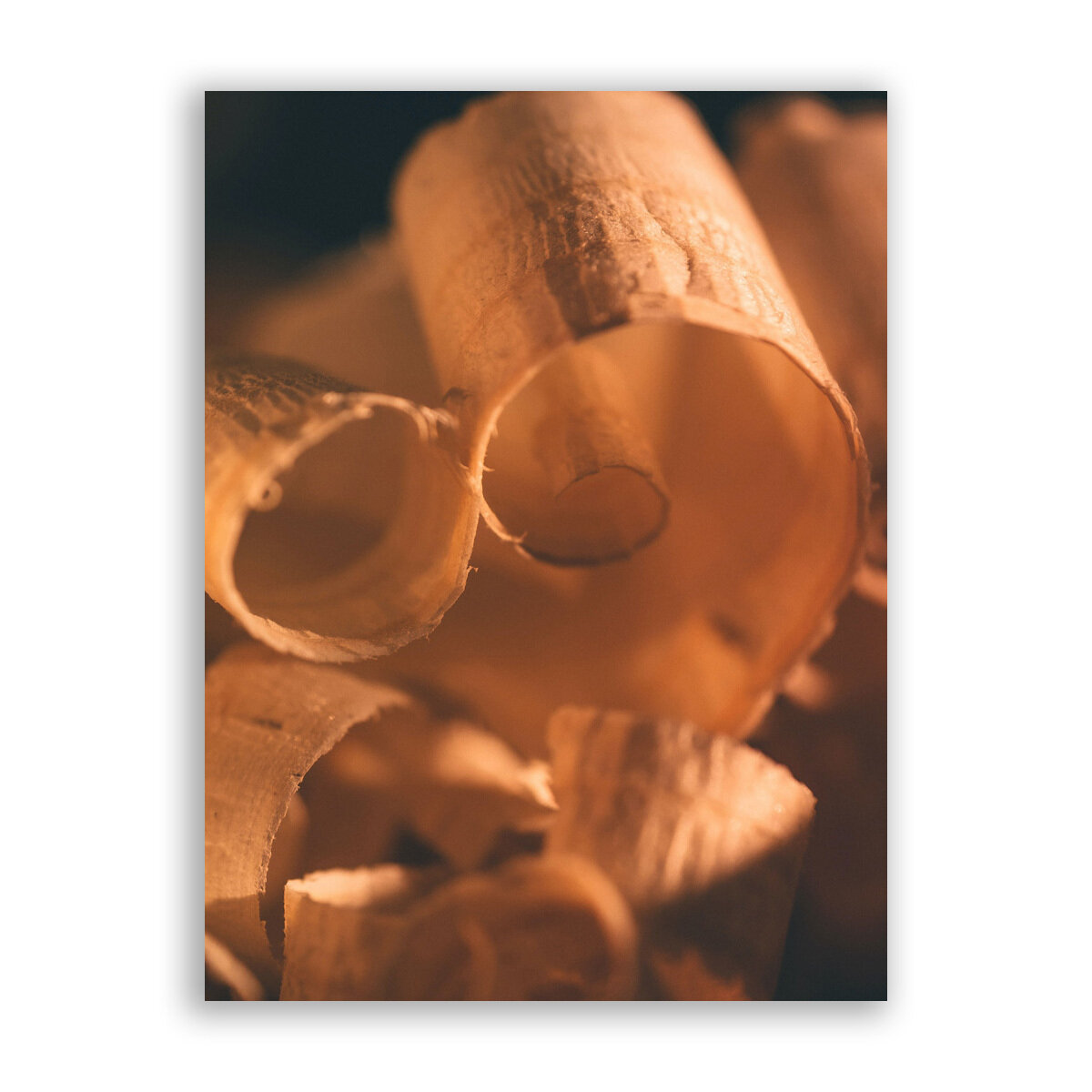 Постер, плакат на бумаге / Древесина / Размер 30 x 40 см