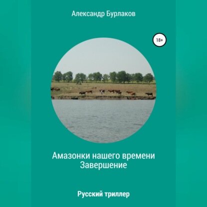 Амазонки нашего времени. Завершение [Аудиокнига]