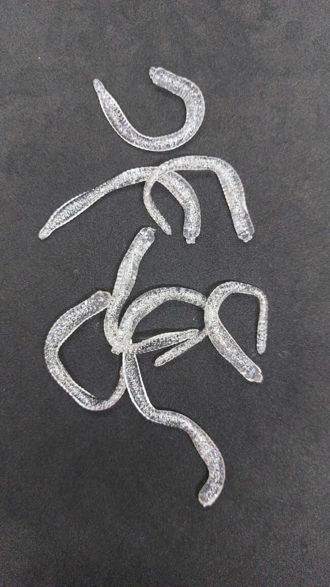 Силиконовые сьедобные приманки "Бобровый хвост". цвет Прозрачный