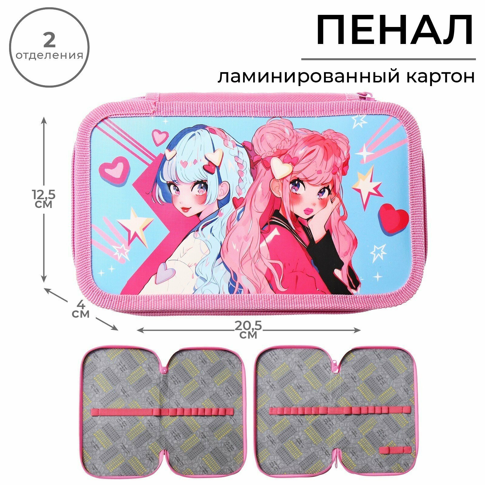 Пенал школьный, 2 секции, 12.5 × 20.5 × 4 см, «Аниме подружки», для детей