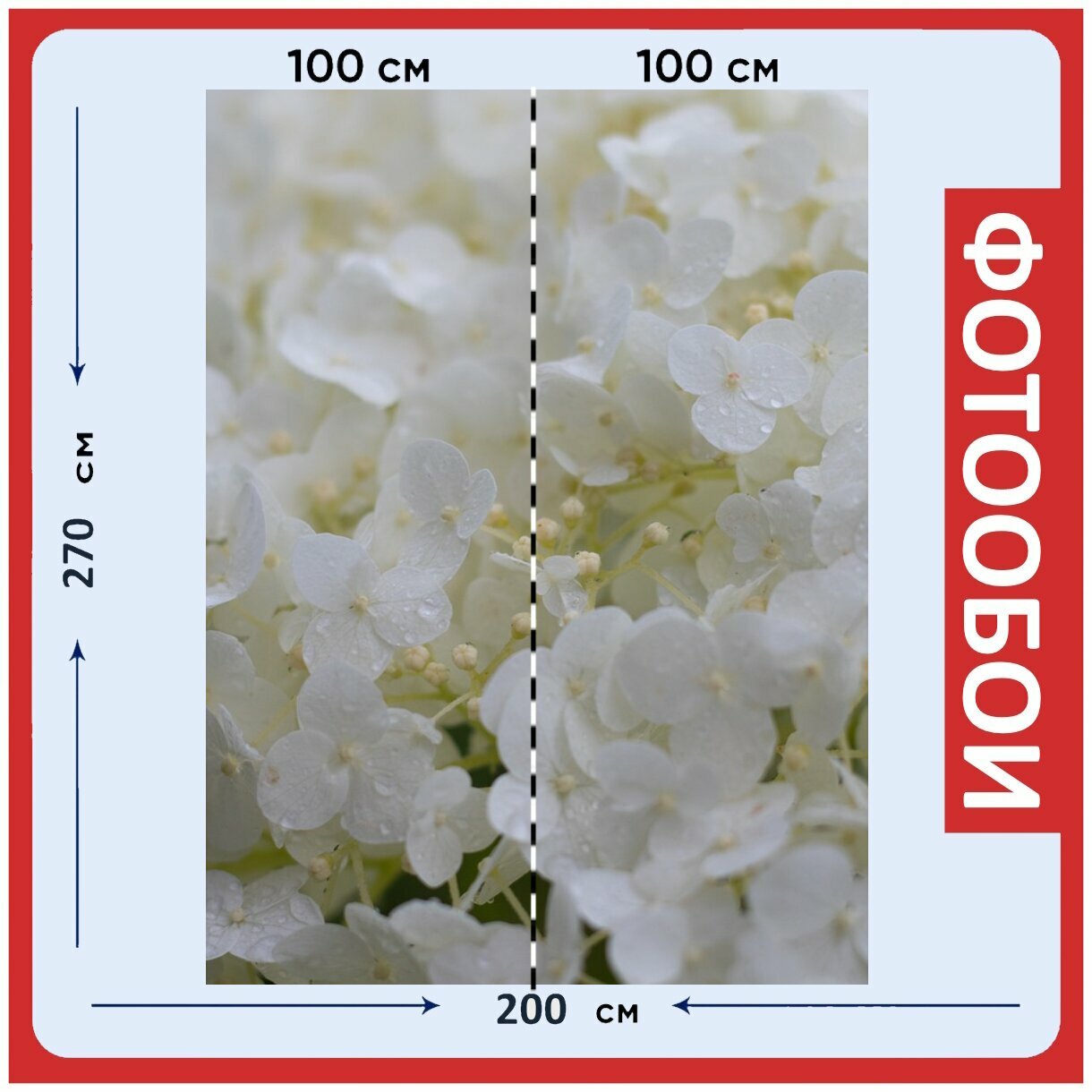 Фотообои "Гортензия аннабель, гортензия, зонтик" 200x270 см. флизелиновыена стену