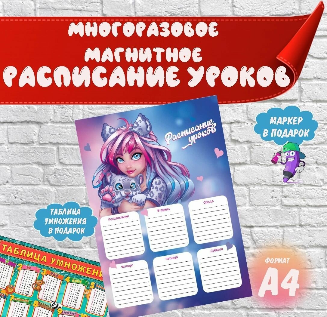 Расписание уроков магнитный с маркером для школьника, А4