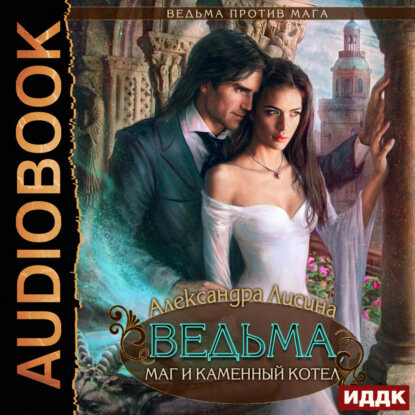 Ведьма против мага. Книга 2. Ведьма, маг и каменный котел [Аудиокнига]