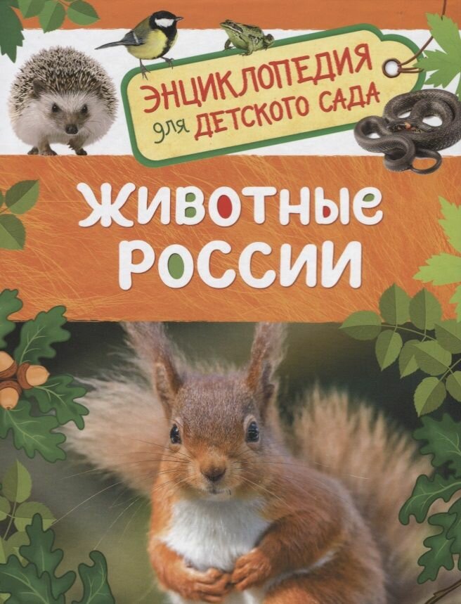 Животные России. Энциклопедия для детского сада