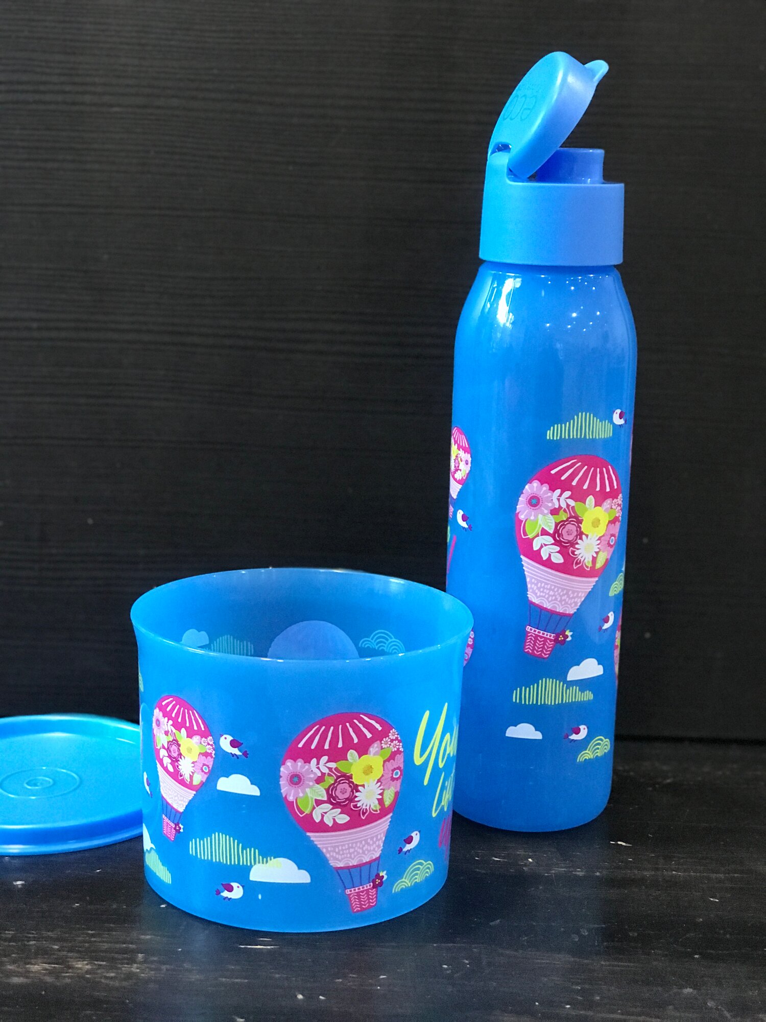 Набор Бутылка и Контейнер, 500мл и 600мл