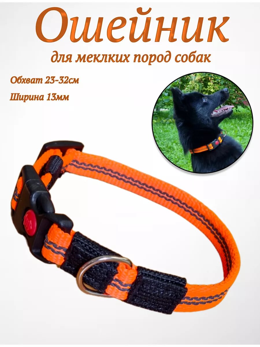 Ошейник для собак мелких пород