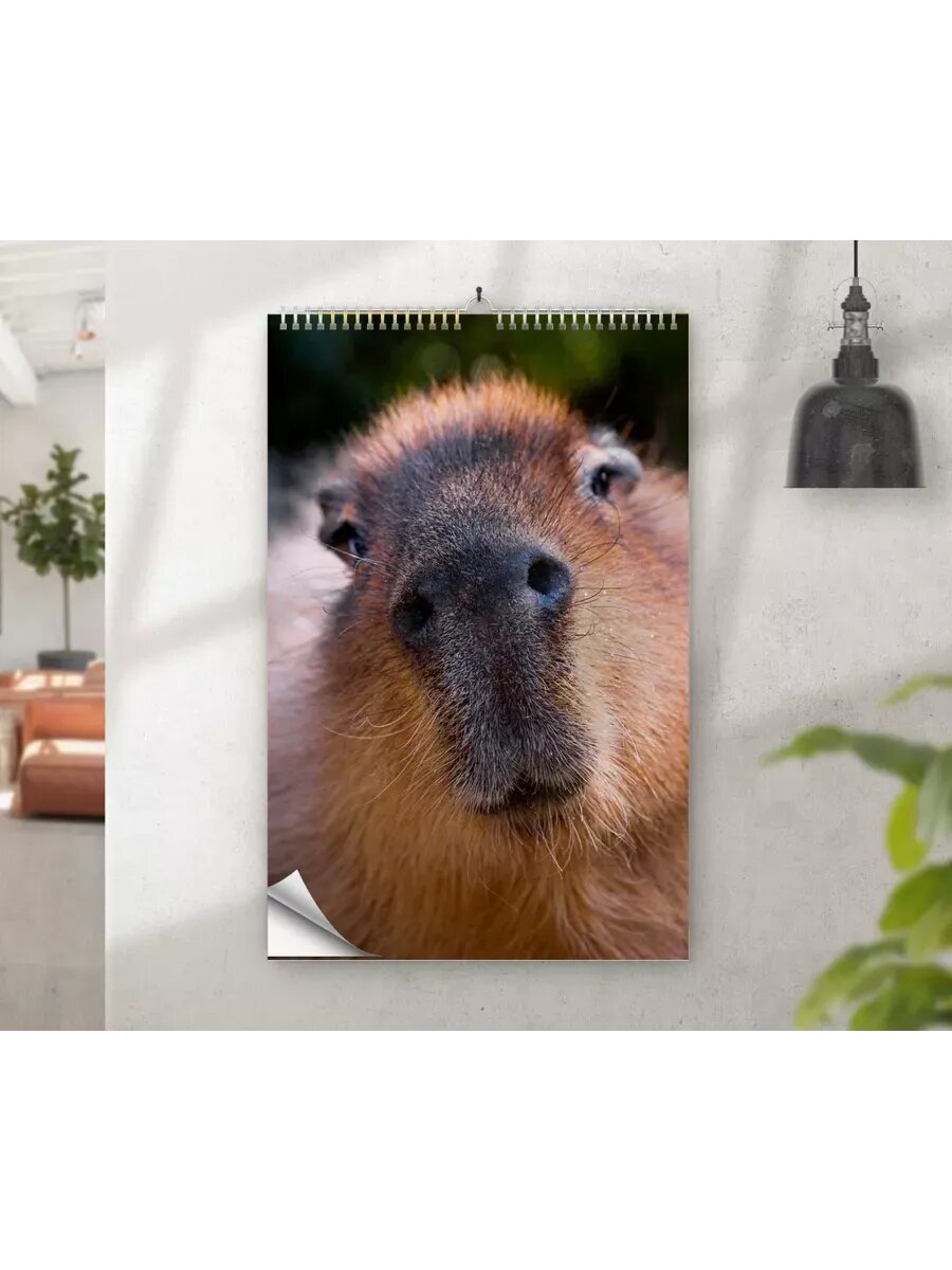 Календарь перекидной Капибара А4