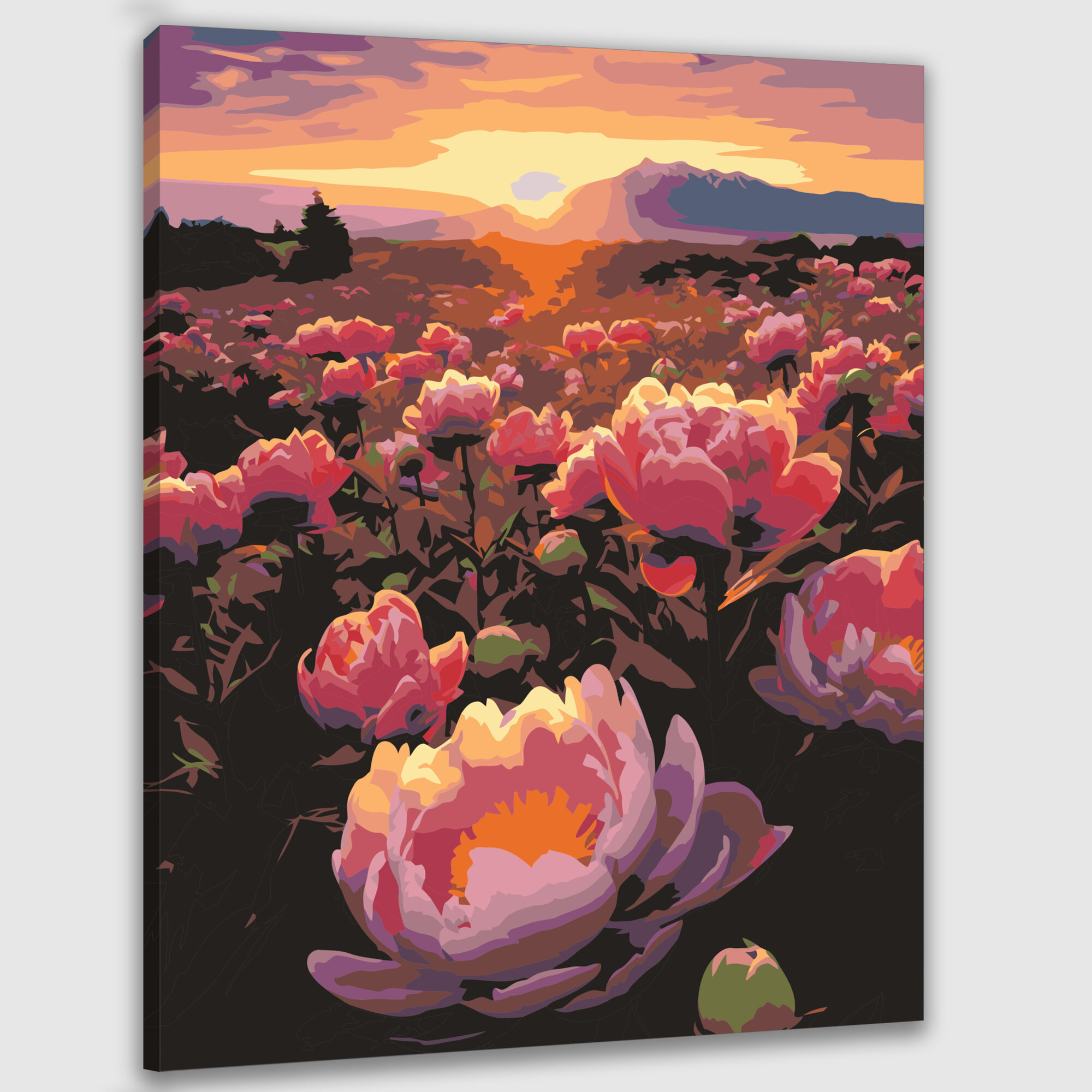 Картина по номерам 40x50 см, поля, цветущие пионы, восход солнца, лучи солнца, золотистое сияние, цветы