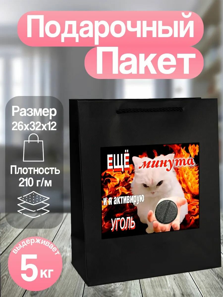 Подарочный пакет большой черный котики мем, упаковка для подарка, 26х31 см