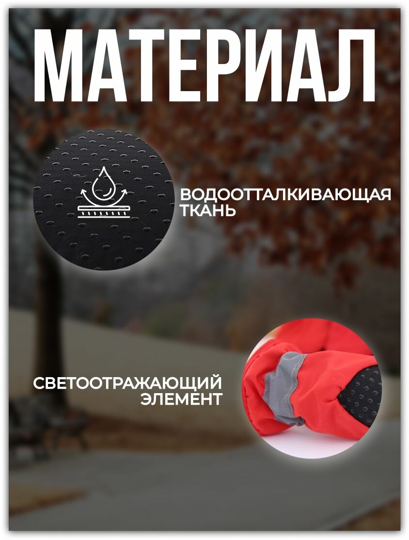 Обувь для собак Распродажа — фото 1