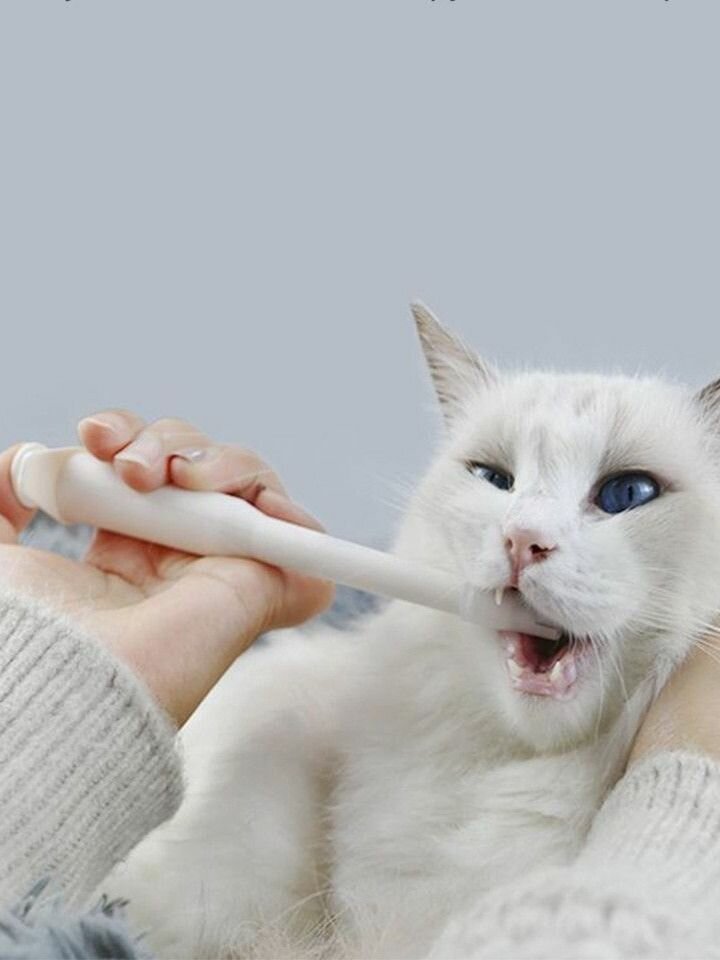 Таблеткодаватель для кошек и собак