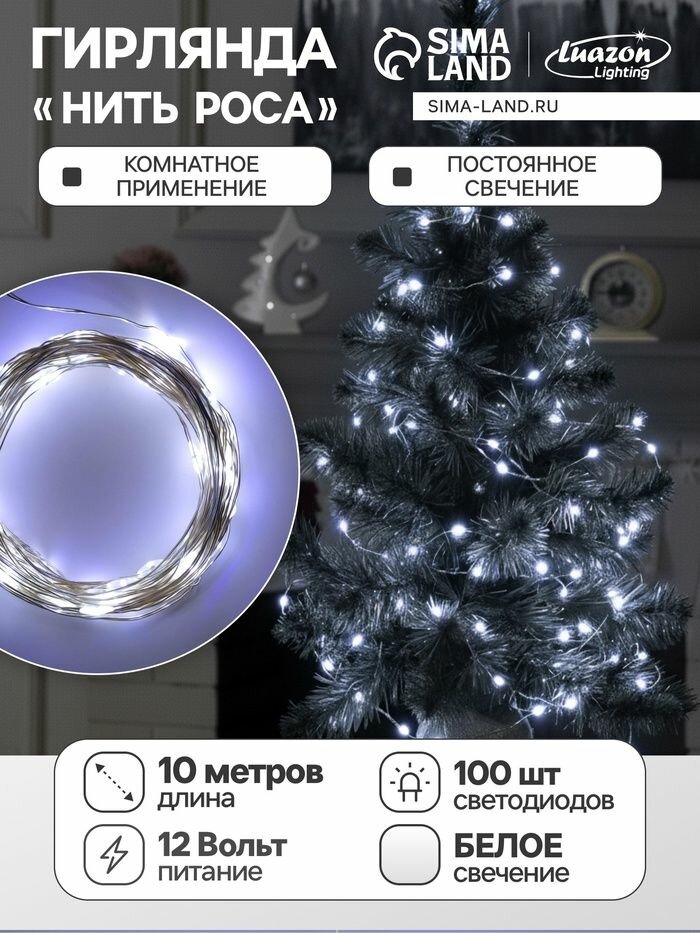 Гирлянда Нить 10 м роса, IP20, серебристая нить, 100 LED, свечение белое, 12 В