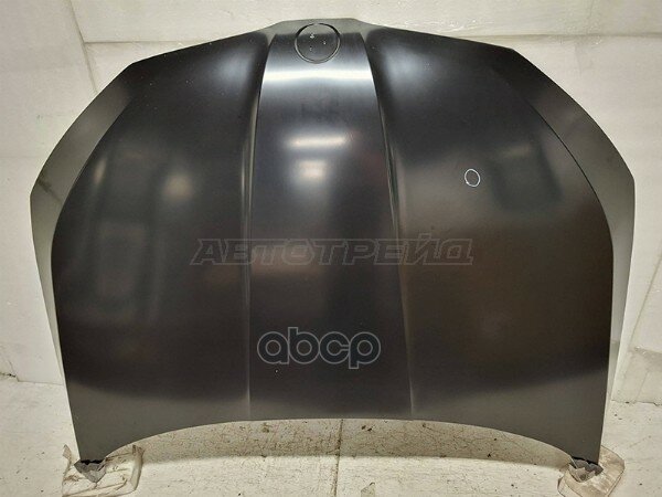 Капот SKODA RAPID 20- (уценка на 10%) Sat арт. D10-ST-38-0008-U003