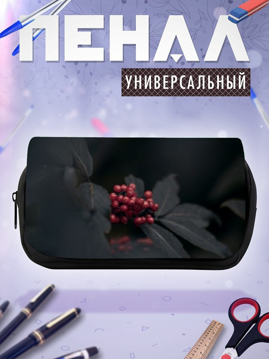 Школьный пенал темнота красный цвет