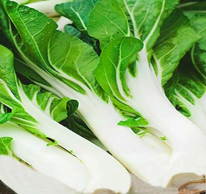 Коллекционные семена капусты китайская Веснянка