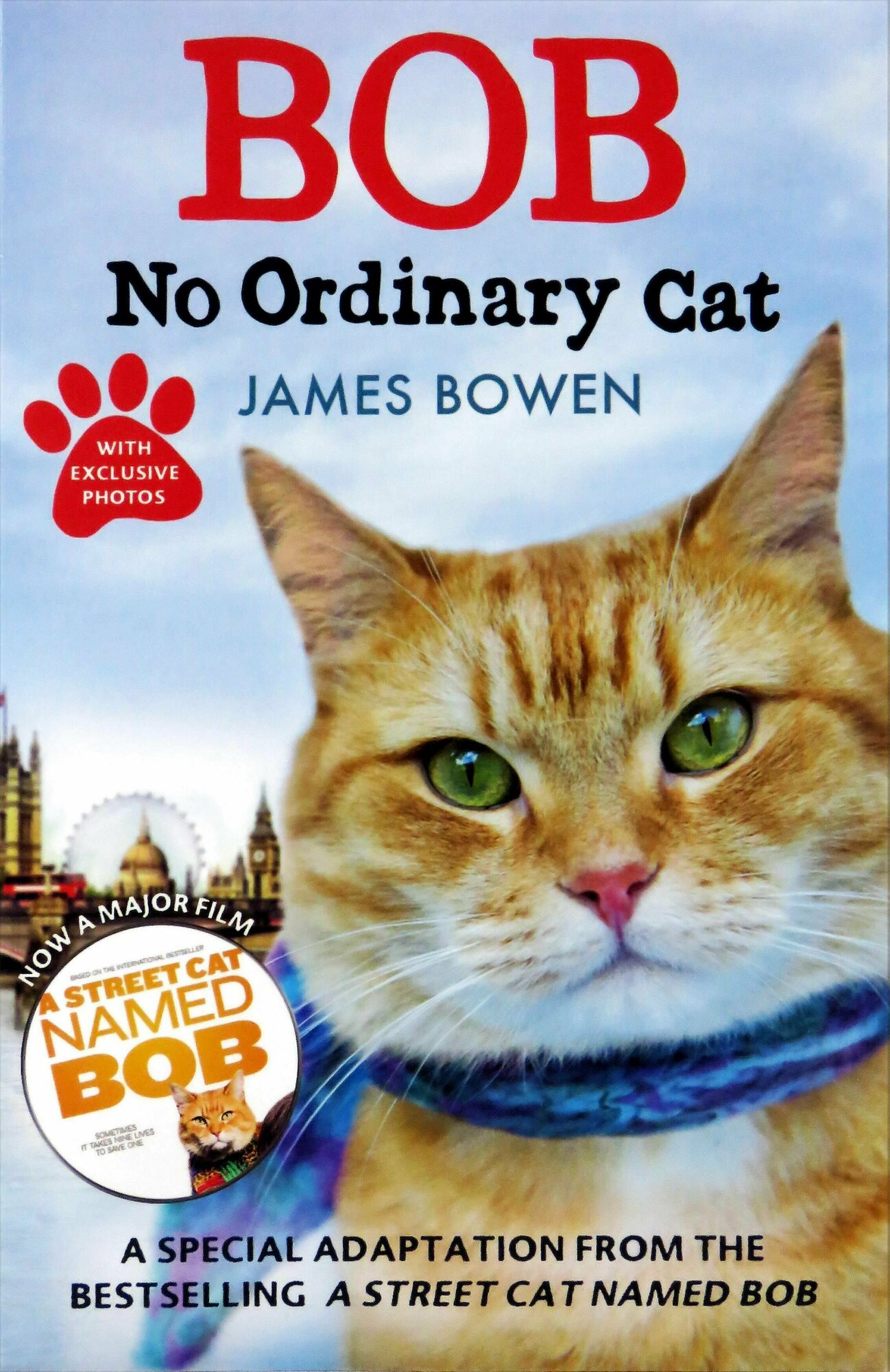 Bob No Ordinary Cat