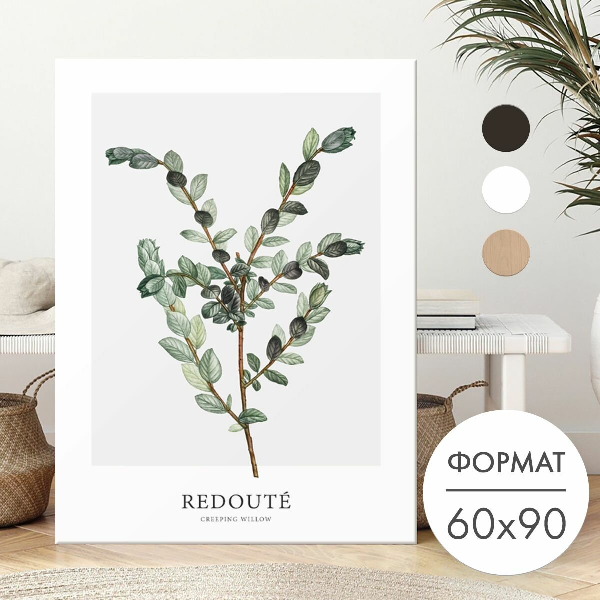 Постер 60х90 без рамки "Ива ветки" для интерьера