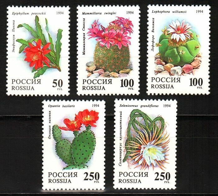 Почтовые марки России. 1994 год. № 144-148. Флора. Кактусы. Серия из 5 марок