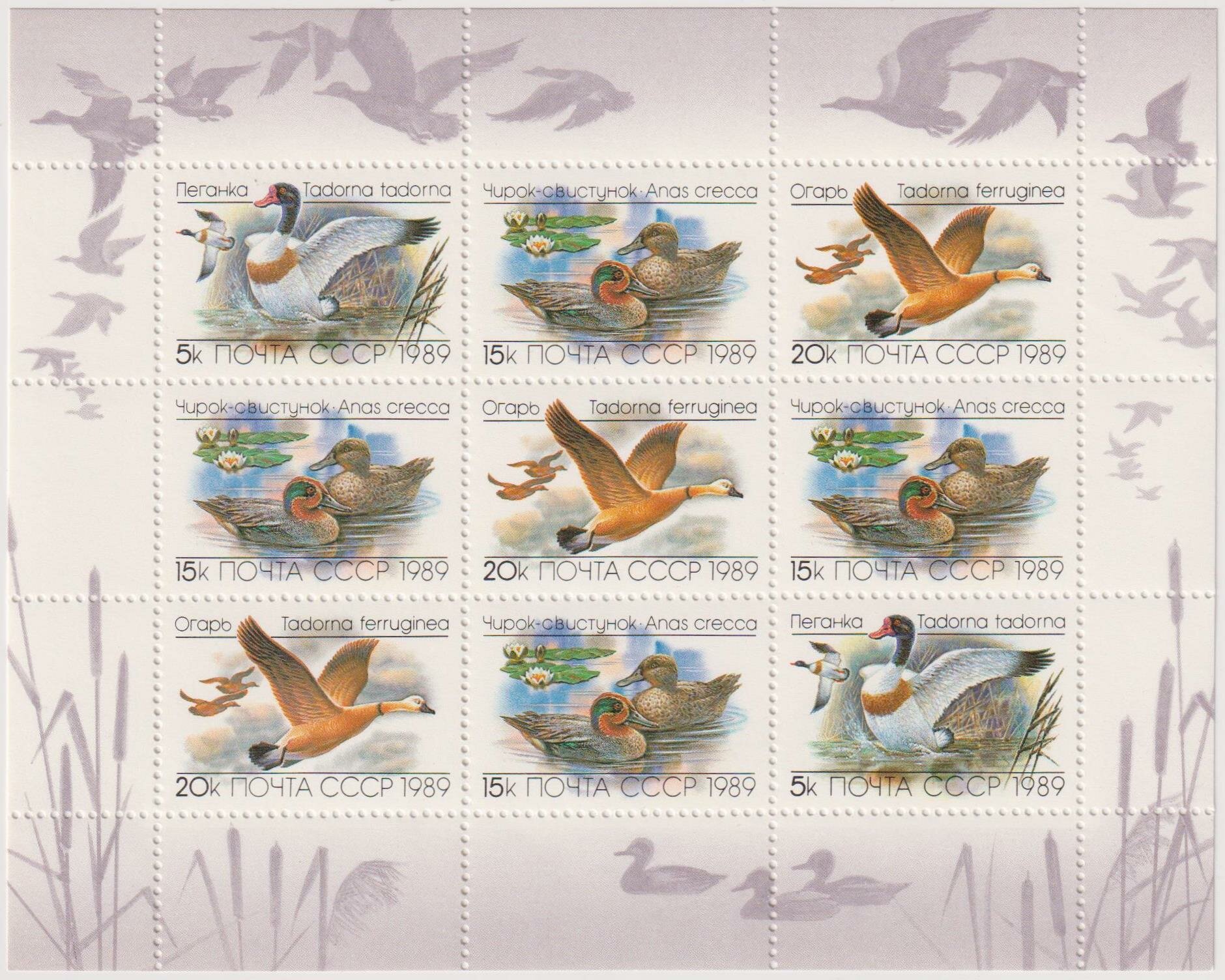 Почтовые марки СССР 1989г. "Утки" Птицы, Утки MNH