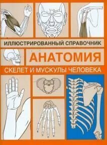 Анатомия. Скелет и мускулы человека. Иллюстрированный справочник