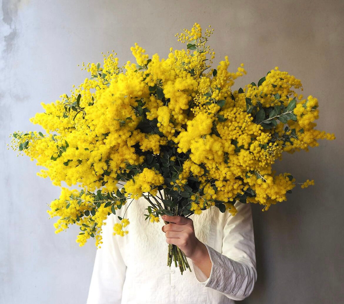 Букет «ранняя мимоза»