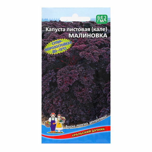 Семена Капуста листовая, посев на рассаду: апрель, вид капусты: кольраби