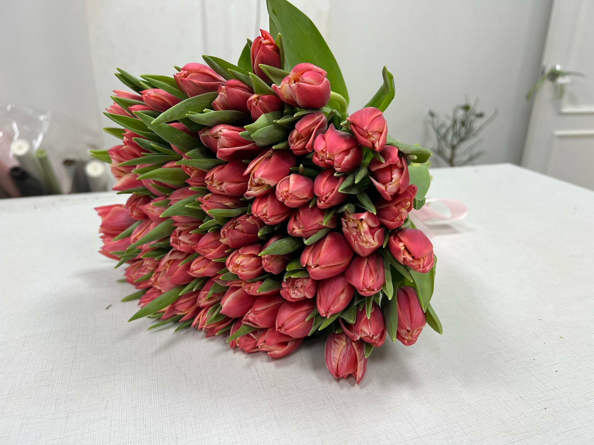 75 пионовидных тюльпанов «Коламбус»