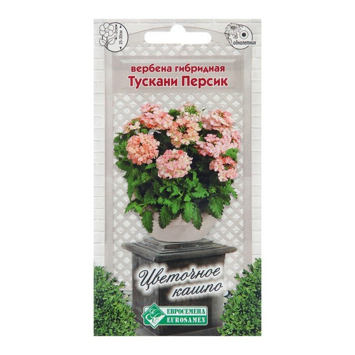 Семена цветов Вербена гибридная "Тускани Персик", 8 шт ( 1 упаковка )