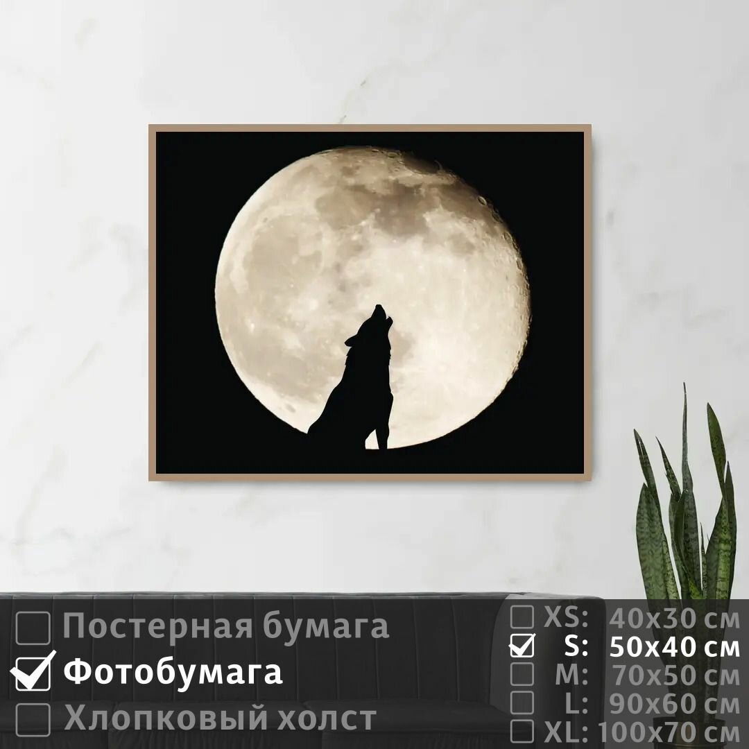 Постер на фотобумаге Дикий Волк И Полная Луна 50х40 см ПолиЦентр