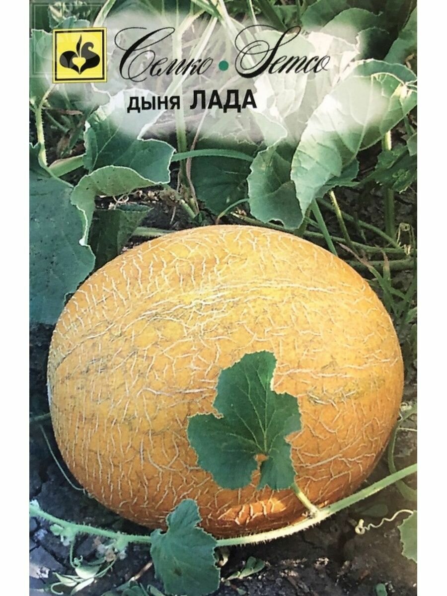 Семена Дыня Лада "Семко" 1г
