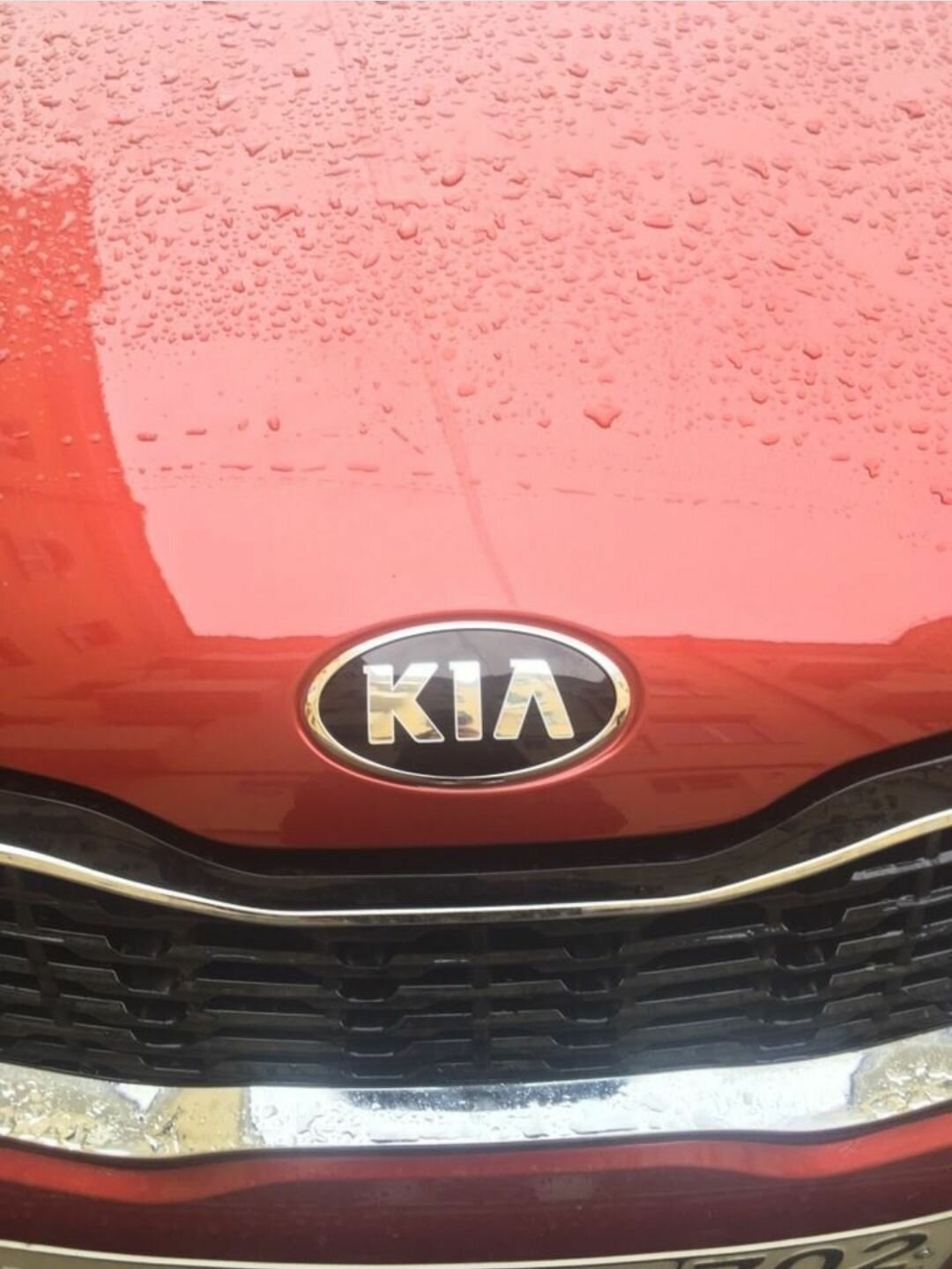 Эмблема KIA Rio / Ceed 130x65 — фото 1