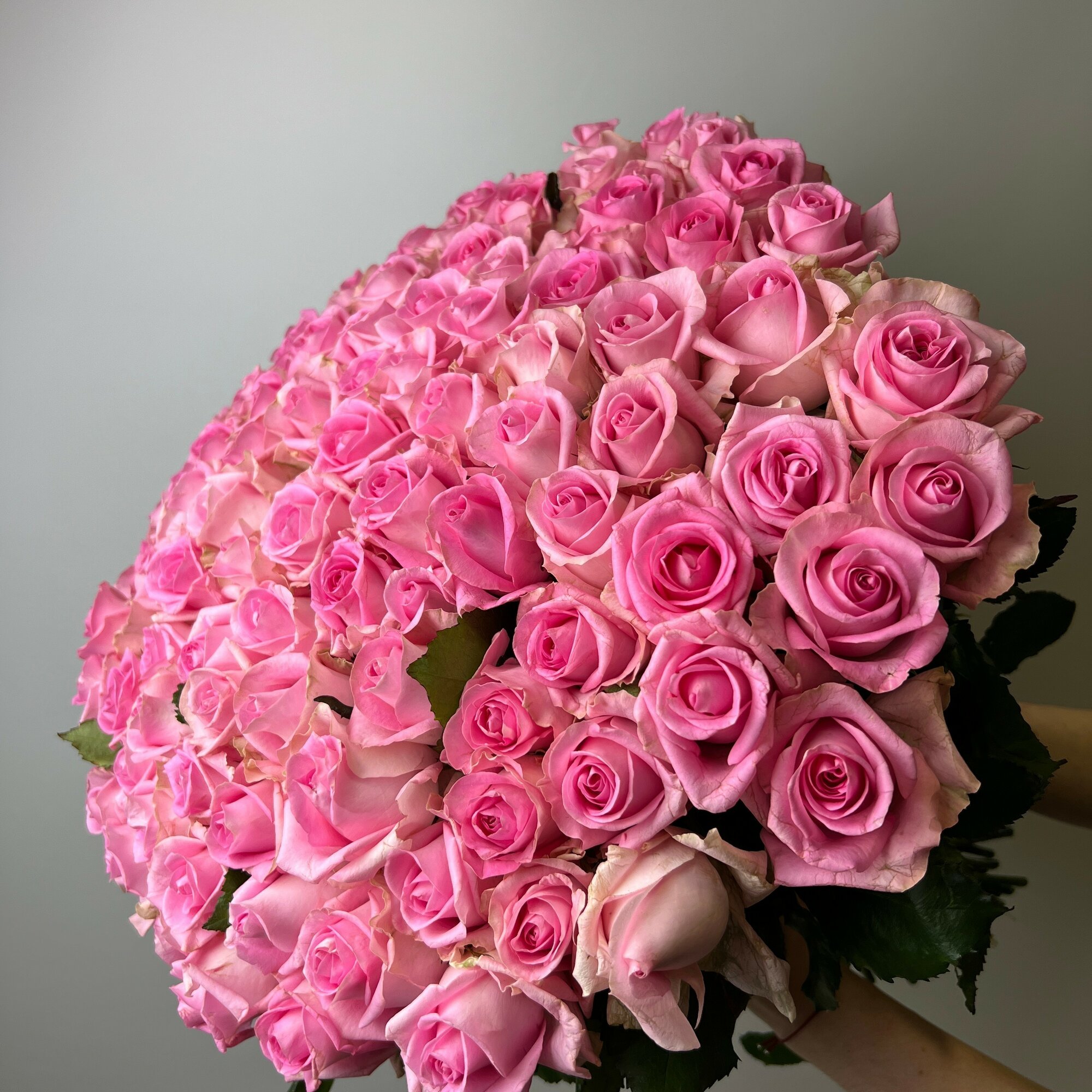 Живые цветы букет розовых роз 101 шт. 60 см. "Розовое облако", сорт - Ревиваль