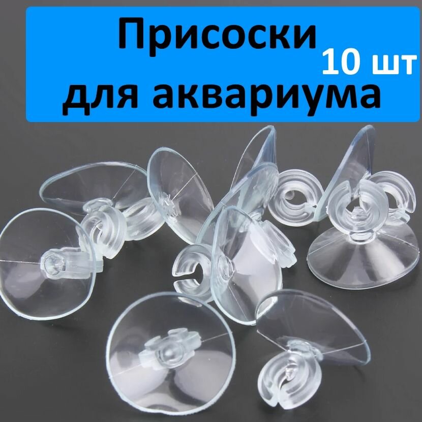 Присоски силиконовые для аквариума, для стекла, гирлянды 10шт
