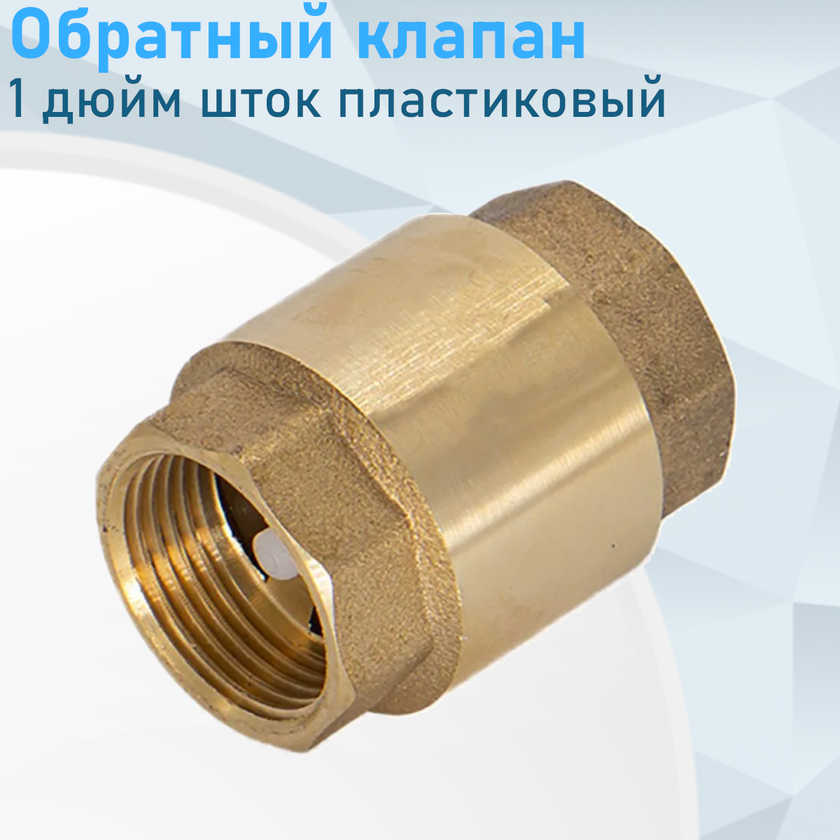 Обратный клапан 1 дюйм шток пластик 281866