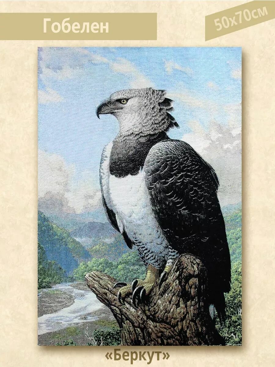 Гобелен без рамы "Беркут" 50х70 см.