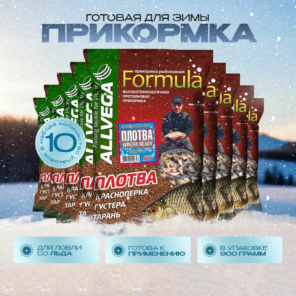 Прикормка для зимней рыбалки готовая ALLVEGA Formula Winter Ready плотва 10 штук по 0.9 кг