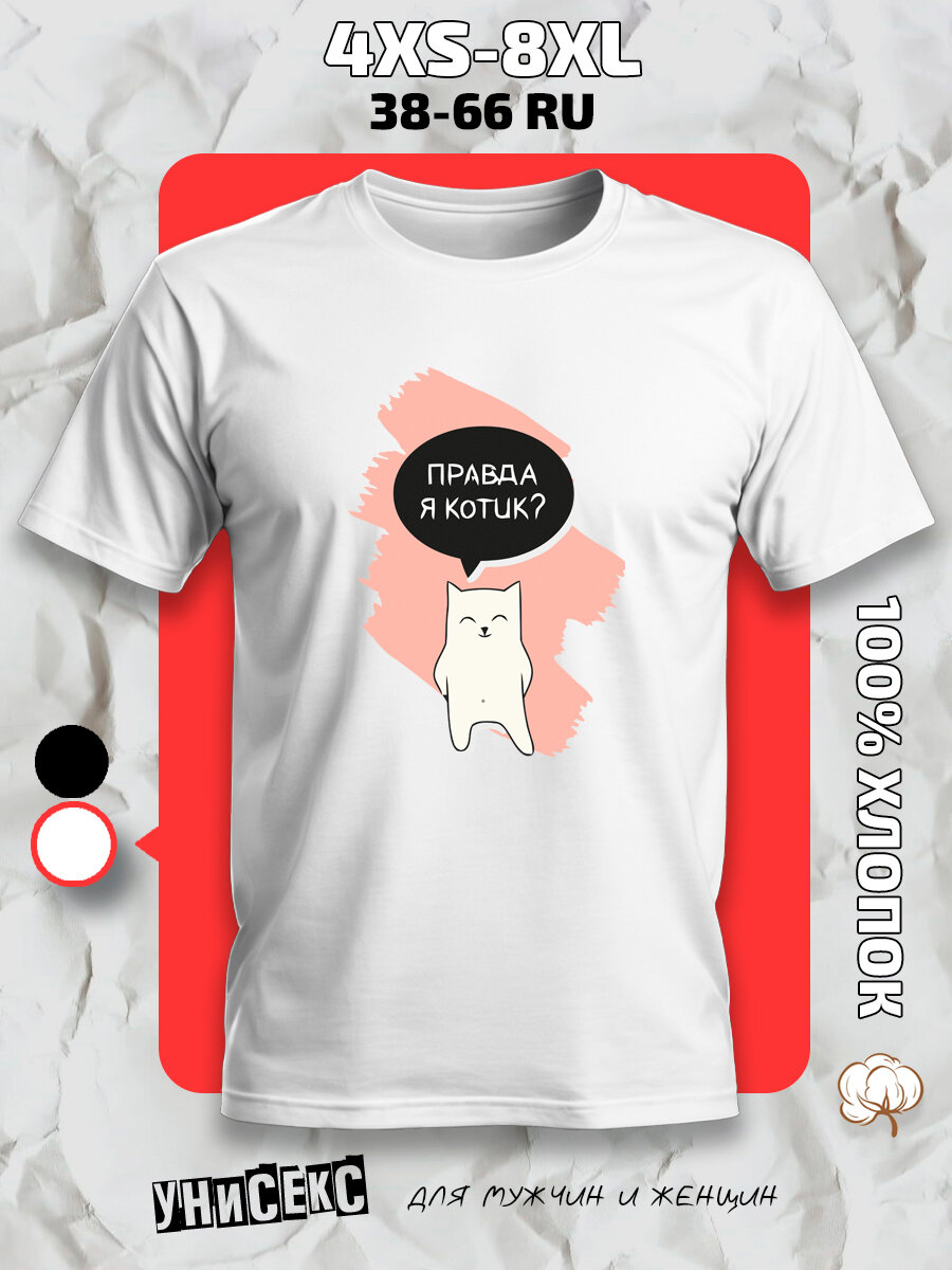 Футболка с принтом кот правда я котик