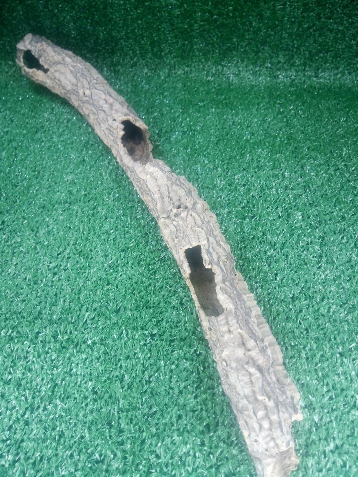 Укрытие натуральное в террариум - кора пробкового дерева "Тоннель" - для змей, пауков ( диаметр 2-4 см, длина 40 см,)