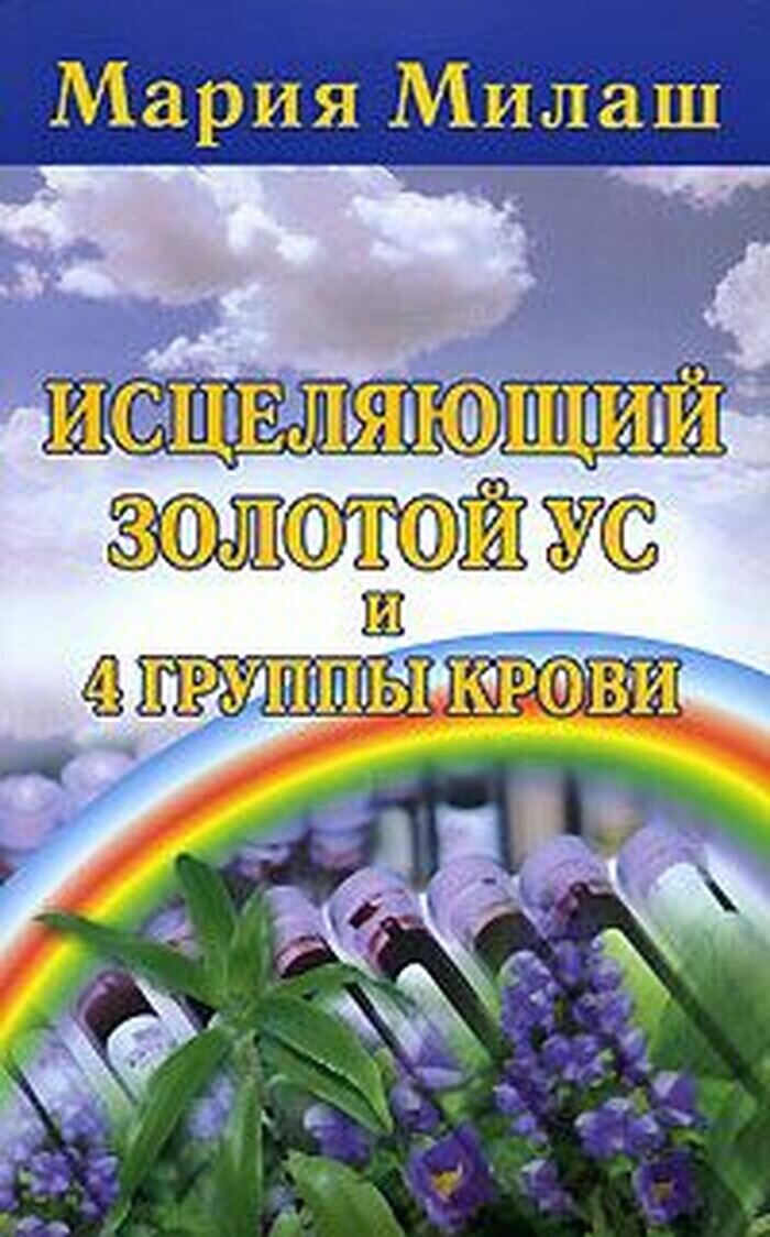 Исцеляющий золотой ус и 4 группы крови