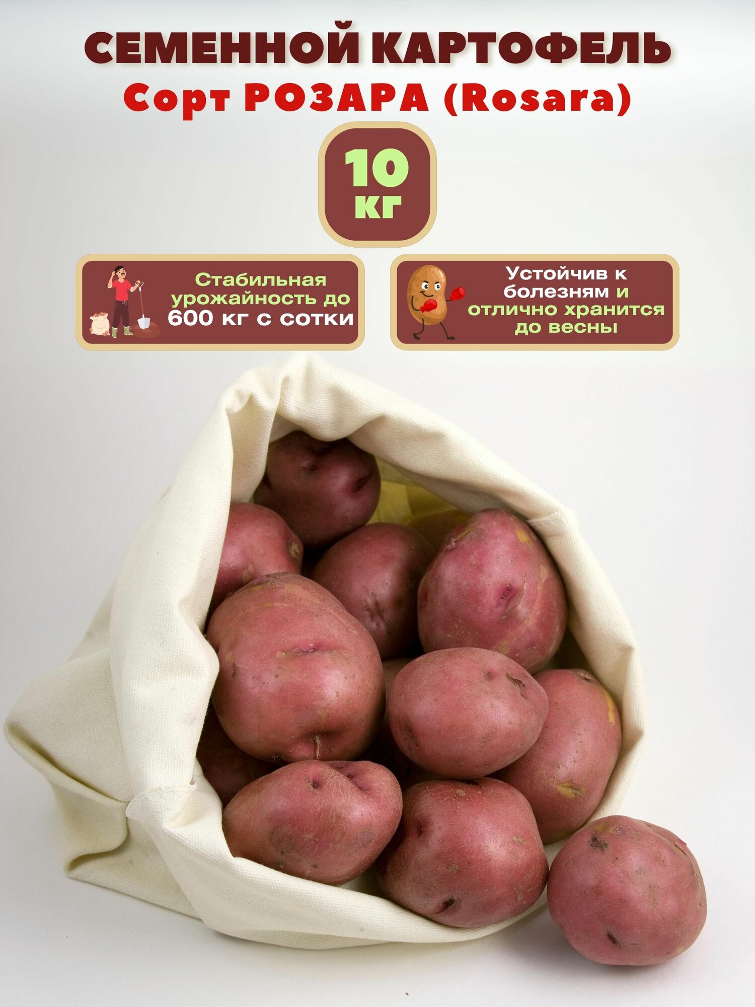 Семенной картофель Розара, 10 кг, селекционный, репродукция Супер Элита, ранний срок созревания, высокая урожайность, устойчивость к болезням, приятный вкус