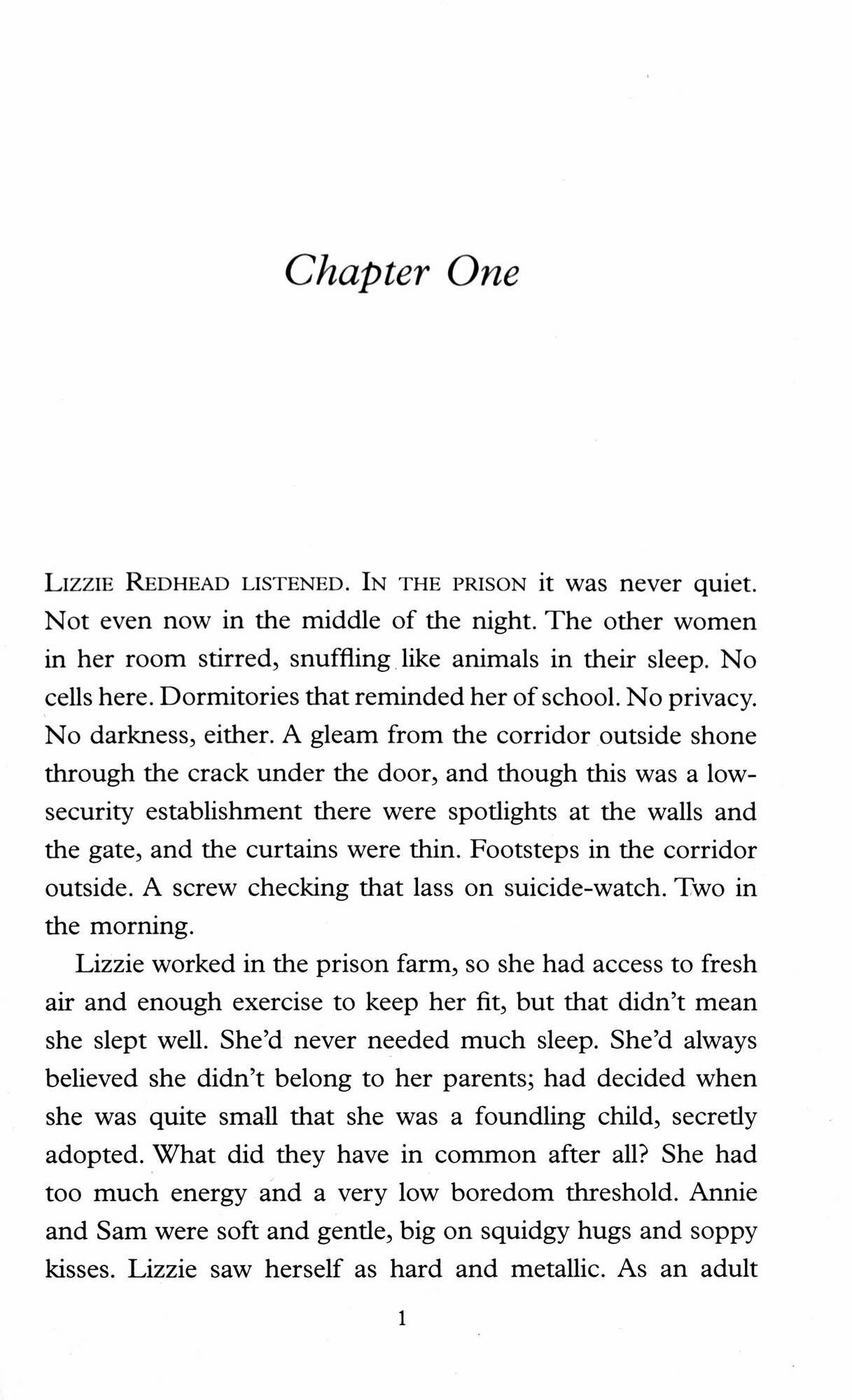 Ann Cleeves - The Moth Catcher | Энн Кливз - Ловец мотыльков (книга на английском языке) — фото 1