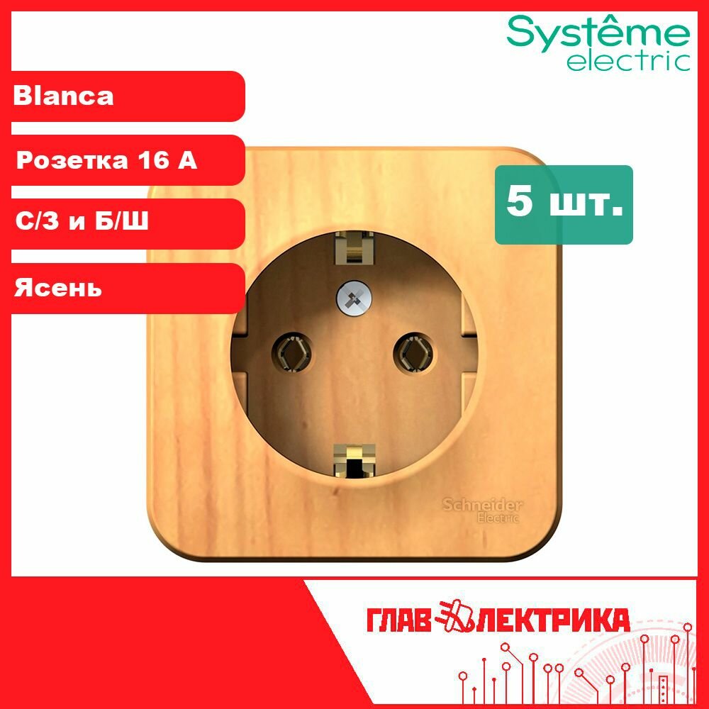 Розетка накладная с/з, без шторок, 16А, Blanca, Ясень, BLNRA010115 Бланка Systeme (Систем) Schneider Electric, 5 шт