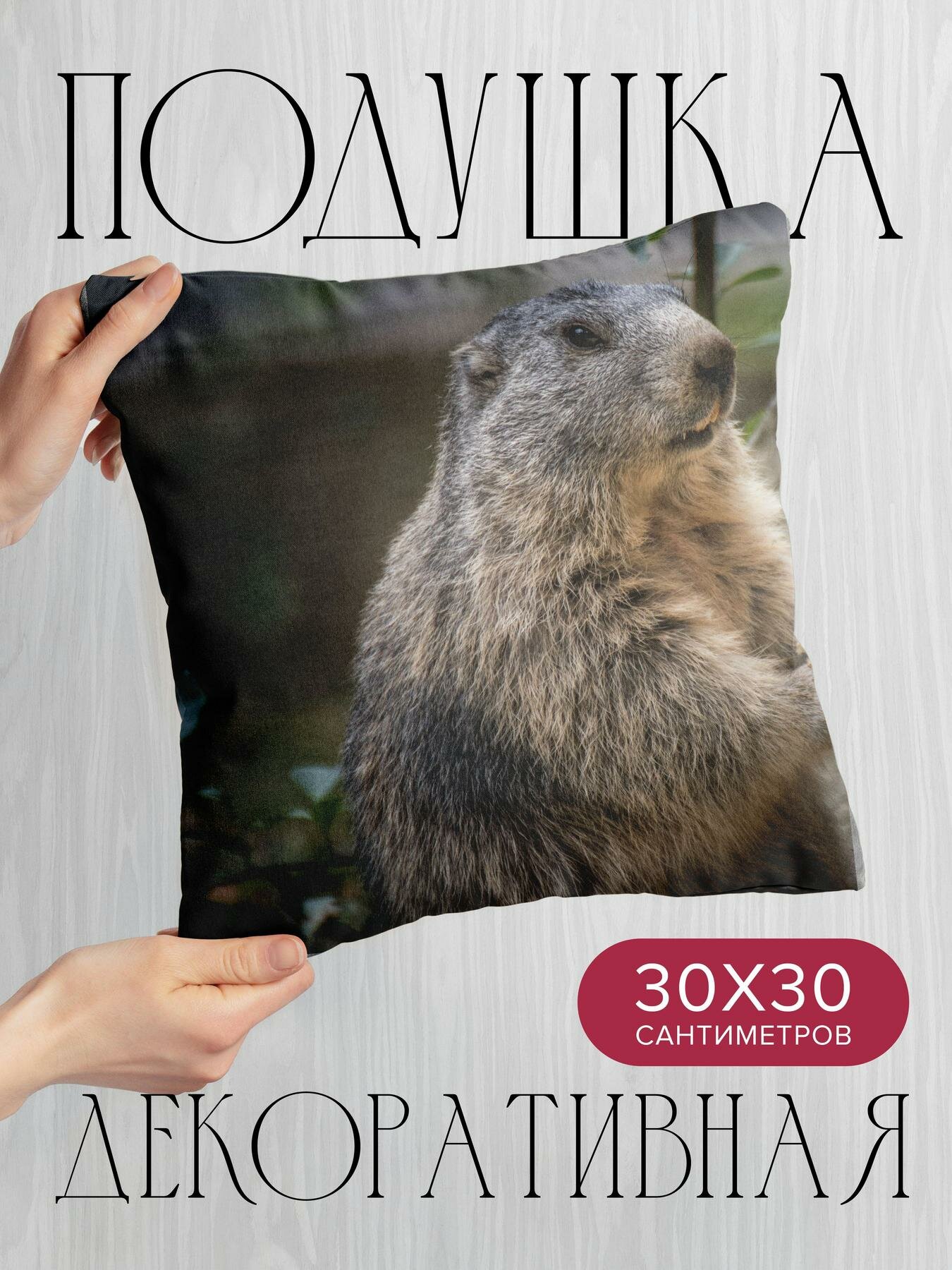 Подушка декоративная, 30x30см / Животные / сурок / грызун