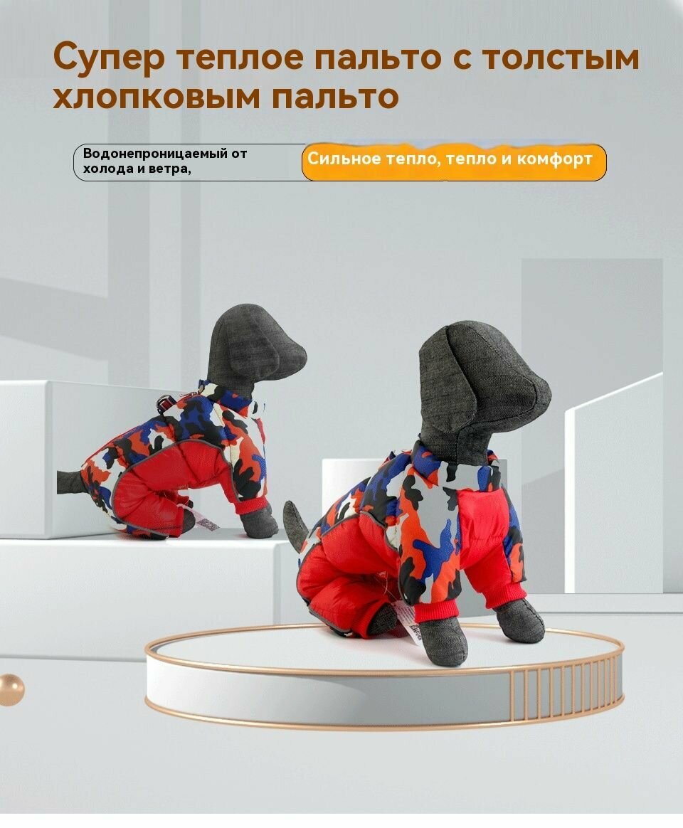Одежда для животных — фото 1