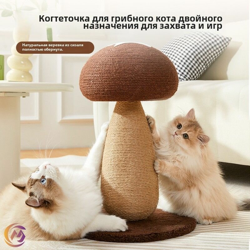 Когтеточка — фото 1