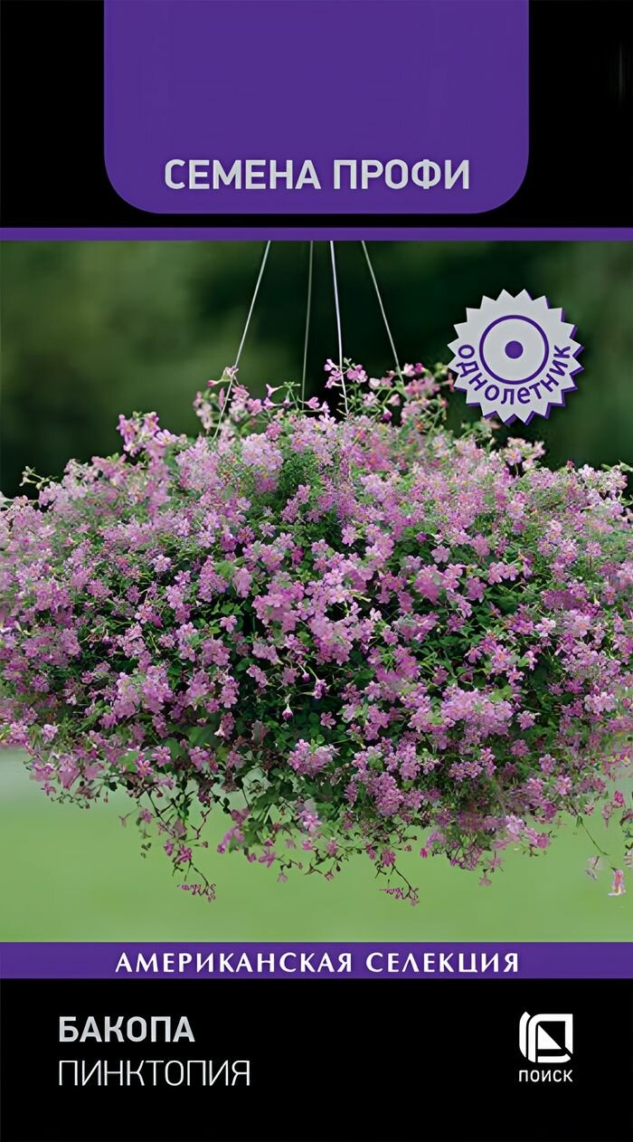 Цветы Бакопа Пинктопия