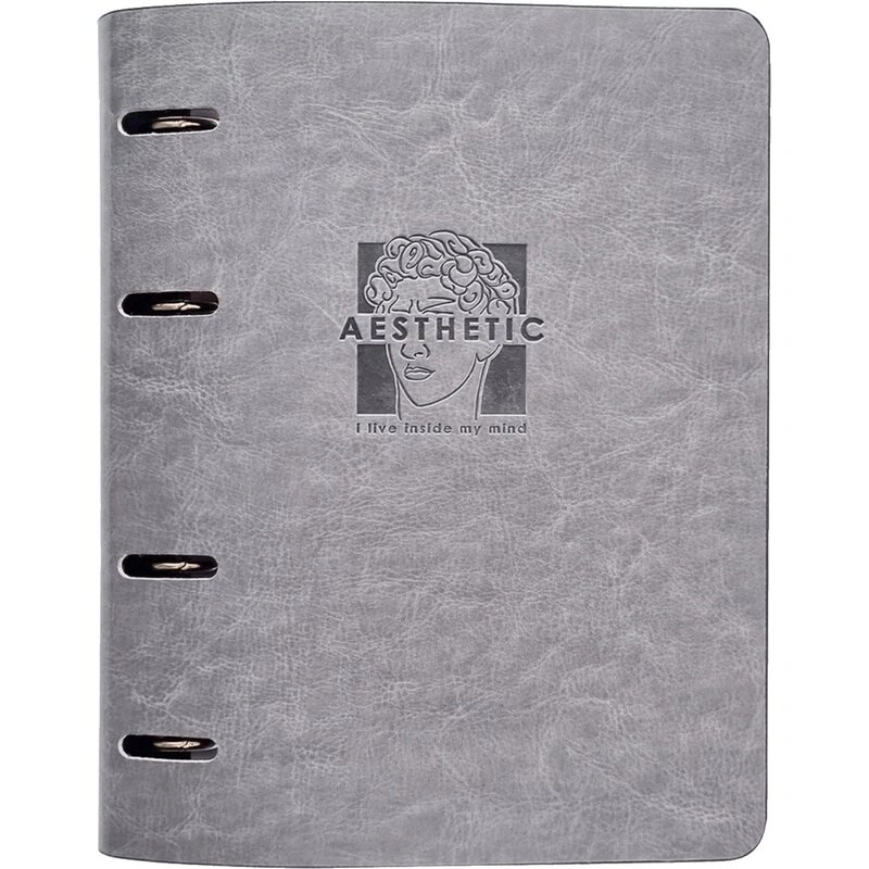 Тетрадь со сменным блоком А5,120л, Infolio Study, Antic, иск. кож, N3801