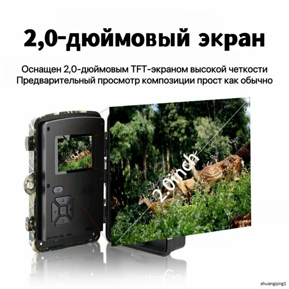 Фотоловушка — фото 1
