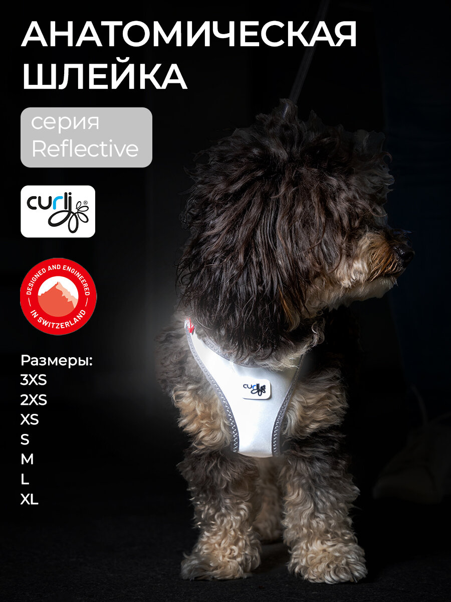 Шлейка для собак анатомическая светоотражающая Curli Reflective для мелких и средних пород, L
